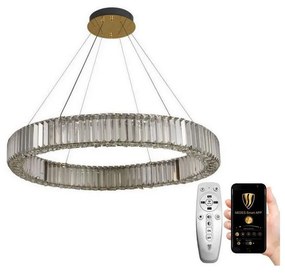 NEDES LED Stmívatelný lustr na lanku LED/50W/230V 3000-6500K chrom/zlatá + DO ND3531