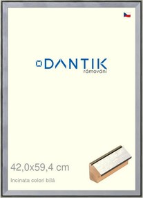 DANTIK rámeček 42x59,4 | INCLINATA colori Bílá (Plexi Čiré)