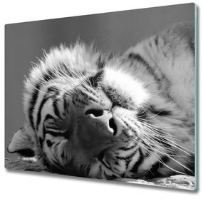 Skleněná krájecí deska Ospalý tygr 60x52 cm
