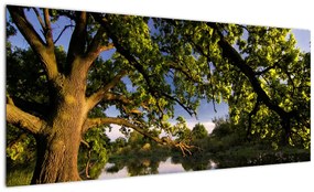 Obrázek stromu - moderní obrazy (100x40cm)