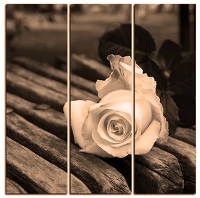 Obraz na plátně - Bílá růže na lavici - čtverec 3224FB (105x105 cm)