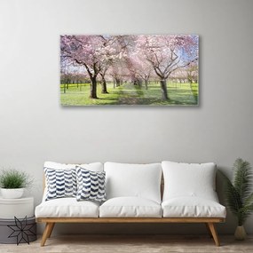 Obraz na skle Stezka Stromy Příroda 125x50 cm