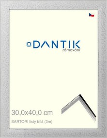 DANTIK rámeček 30x40 | SARTORI listy čílá (Plexi Čiré)