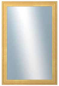 DANTIK - Zarámované zrcadlo - rozměr s rámem cca 40x60 cm z lišty LYON zlatá (2703)