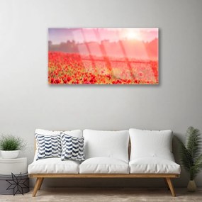Obraz na skle Louka Květiny Příroda 125x50 cm