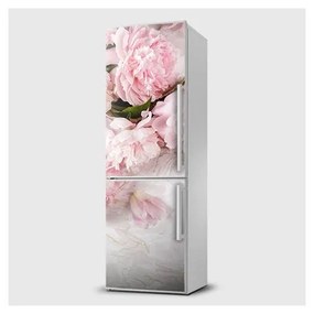 E-shop24, Pi51SL1320, Rozměr 65x180 cm, Fototapeta samolepící na lednice - Pivoňka růžová