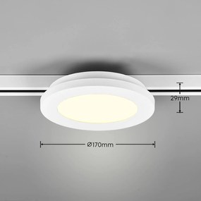 LED stropní svítidlo Camillus DUOline, Ø 17 cm, bílé