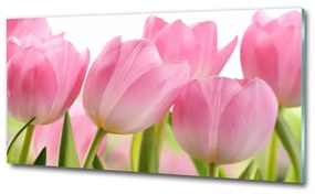 Wallmuralia Fotoobraz na skle Růžové tulipány 100x50