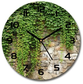 Wallmuralia Skleněné hodiny kulaté Zelený břečťan fi 30 cm