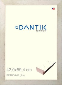 DANTIK rámeček 42x59,4 | RETRO bílá (Plexi Čiré)