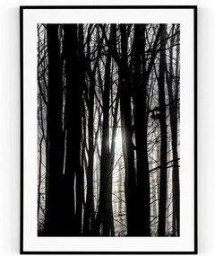 Plakát / Obraz Forest S okrajem Samolepící plátno A4 - 21 x 29,7 cm