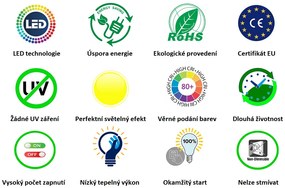 Diolamp LED Filament žárovka čirá A60 12W/230V/E27/4000K/1600Lm/360°