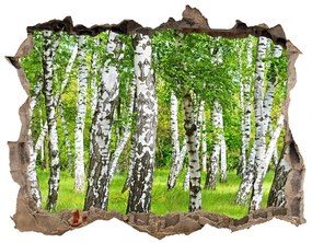 Wallmuralia Nálepka fototapeta 3D výhled Břízový les 95x64 cm