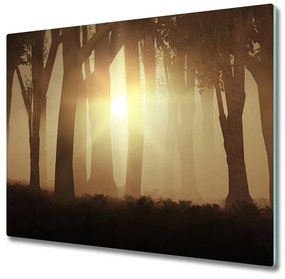 Skleněná krájecí deska Mlha v lese 60x52 cm