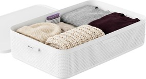 Rotho Úložný box do skříně s víkem a vonnou vložkou s levandulí, šatní organizér LISORA - XL, 73,5 × 47,5 × 18 cm