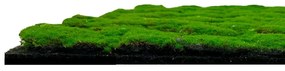 Mechový obkladový panel Jangal Modular Wall Design Moss FOREST GREEN 11108, 520 x 520mm, 0,2704m²