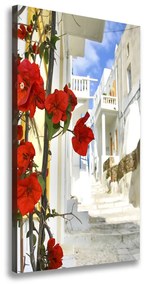 Wallmuralia Vertikální Foto obraz na plátně Mykonos Řecko 50x100