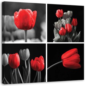 Gario Obraz na plátně Sada červených tulipánů Rozměry: 30 x 30 cm