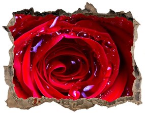 Wallmuralia Samolepící nálepka na zeď Květ růží 95x64 cm