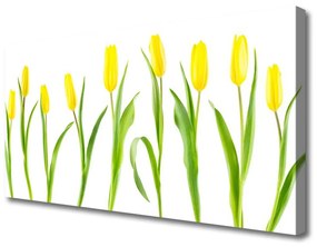 Obraz na plátně Žluté Tulipány Květiny 140x70 cm