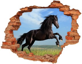 Wallmuralia Díra 3D fototapeta na stěnu Černý kůň na louce 90x70 cm