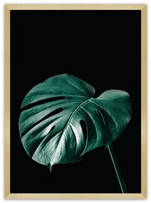 Plakát Dark Monstera