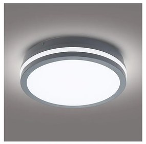 Brilagi - LED Venkovní svítidlo BENE LED/24W/230V pr. 26 cm IP54
