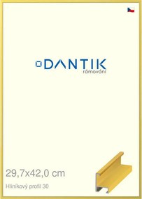 DANTIK rámeček 29,7x42 | ALU profil 6030 Dýha barevná žlutá citrus (Plexi Čiré)