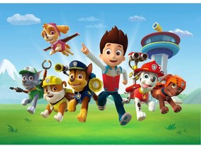 Dětská fototapeta Paw Patrol 251 x 182 cm, 4 díly