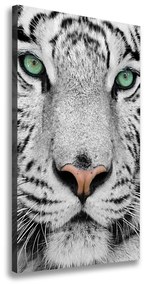 Wallmuralia Vertikální Foto obraz canvas Bílý tygr 50x100