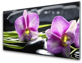 Plexisklo-obraz Orchidej Kameny Zen Lázně 140x70 cm