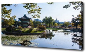 Wallmuralia Foto obraz na plátně do obýváku Jižní Korea 100x50