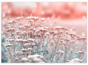 Skleněný obraz - Luční květy (70x50 cm)