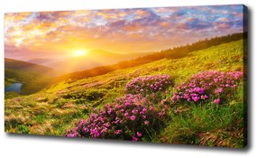 Wallmuralia Foto obraz na plátně do obýváku Západ slunce hory 100x50