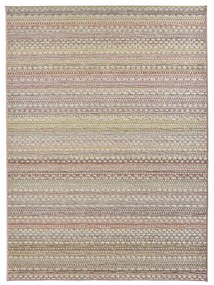 NORTHRUGS - Hanse Home koberce Kusový koberec Lotus Rose Gold 103252 – na ven i na doma Rozměry koberců: 200x290