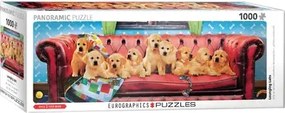 EUROGRAPHICS Panoramatické puzzle Labradoři na psí pohovce / 1000 dílk