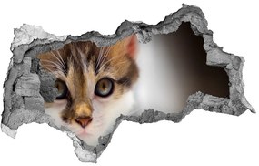 Wallmuralia Díra 3D fototapeta nástěnná Nálepka malá kočka 95x73 cm