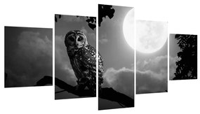 Obraz noční sovy (150x80 cm)