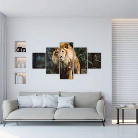 Obraz lva v přírodě (125x70 cm)