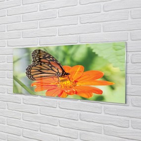 akrylový obraz Květ barevný motýl 120x60 cm