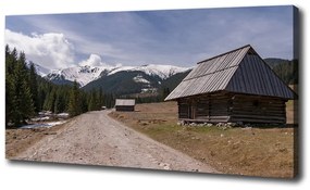 Wallmuralia Foto obraz na plátně Domek v horách 100x50