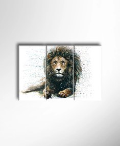 Malvis ® Obraz Lev akvarelem ROZMĚR (šířka x výška): třídílný obdélník 120x80 cm
