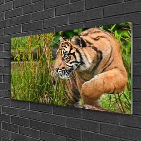 Obraz na skle Tygr Zvířata 125x50 cm
