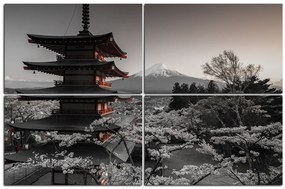 Obraz na plátně - Pohled na horu Fuji 161FD (120x80 cm)
