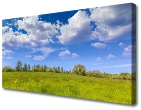 Obraz na plátně Louka Tráva Nebe Krajina 125x50 cm