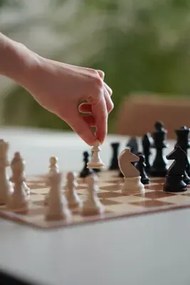 DETOA Šachy a dáma / Dřevo, papír / od 3 let
