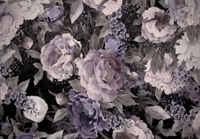 Fototapeta - Květiny Pivoňka (254x184 cm)
