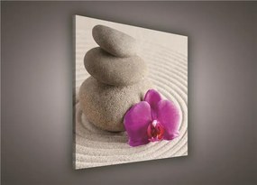 Obraz na plátně wellness orchidej 80 x 80 cm