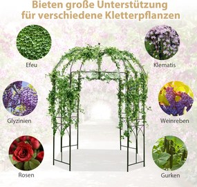 Costway Kovový oblouk růží ve tvaru ptačí klece, oblouk, mříž, zahradní oblouk