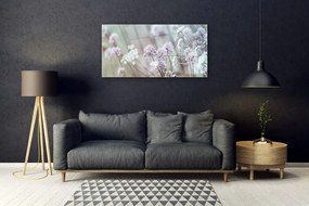 Plexisklo-obraz Polní Květiny Louka Příroda 100x50 cm
